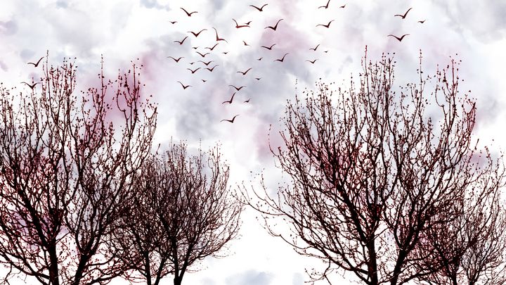 Late autumn - LGS - Digital Art, Landscapes & Nature, Seasons, Autumn ...