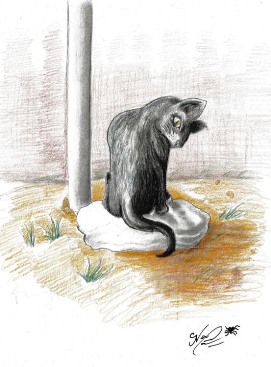 The Black Cat - Nicholas Camarena the Octopus - Paintings & Prints ...