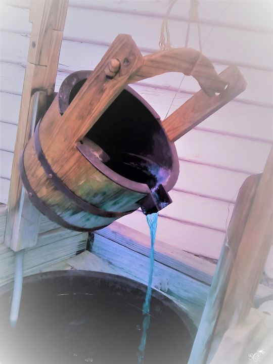 The Forever Pour - Nicholas Camarena the Octopus - Photography ...