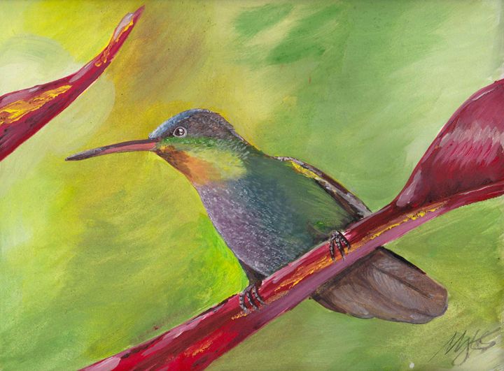 Humming Bird - Ram's Artworks - Paintings & Prints, Animals, Birds ...
