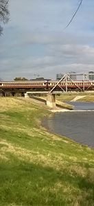 Rachel Murillo - Photography, Drawings & Illustration, Digital Art & AI