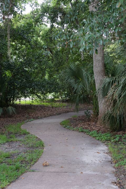 Winding Path - David J Riffey - Photography, Landscapes & Nature, Paths ...