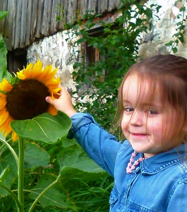 Sunny ways - Charlotte's Web creations - Photography, Flowers, Plants ...