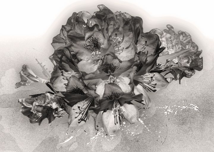 ACE-ORIG-FLR5-0156 - ACEllisCo - Digital Art & AI, Flowers, Plants ...