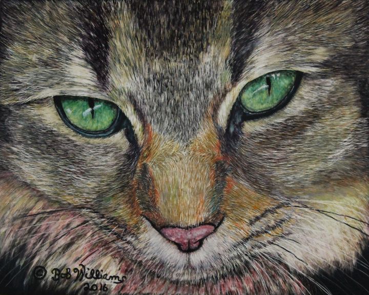 Sharna Eyes - Bob Williams Fine Art - Paintings & Prints, Animals ...