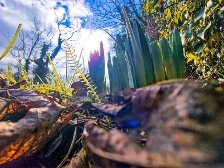 Life in Colour - Photography, Paintings & Prints