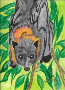 These Wonderful Things - Paintings & Prints