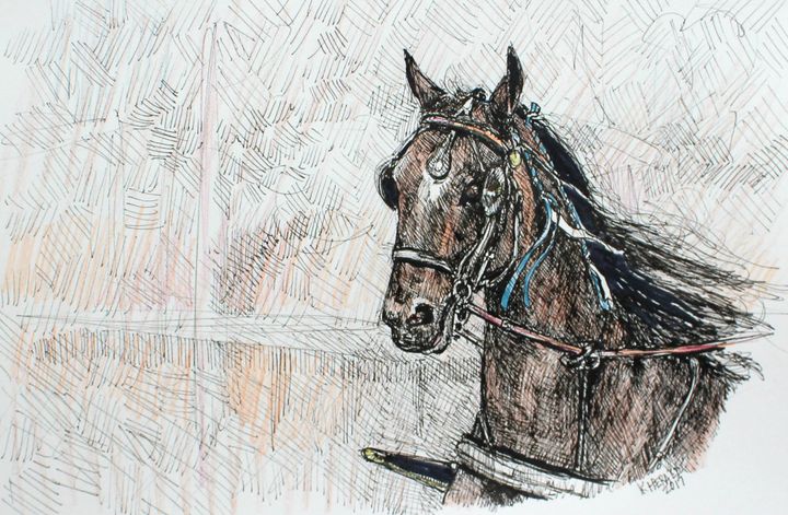 Trotter in Show - Sun Rising Art Studio - Drawings & Illustration ...