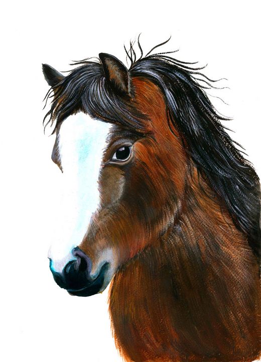 Welsh Cob Pony Painting in Acrylics - Alison Langridge - Paintings ...