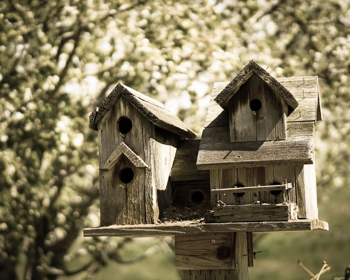 Rustic Birdhouse - Herzberg Photography - Photography, Landscapes ...