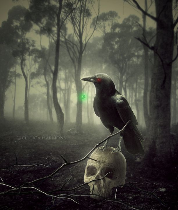 The Holy Crow - Celtica Harmony - Digital Art & AI, Animals, Birds ...
