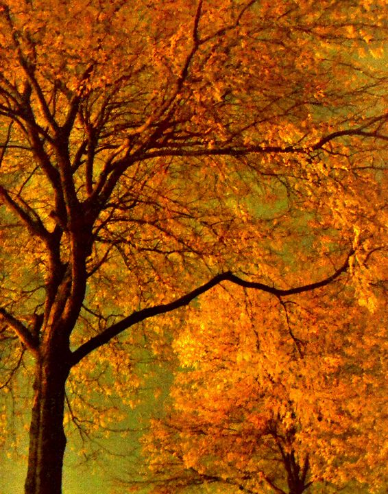 Autumn Night - Sunset Awe - Photography, Landscapes & Nature, Seasons ...