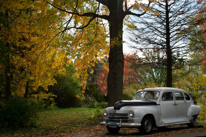 Fall Colors - Sunset Awe - Photography, Landscapes & Nature, Seasons ...