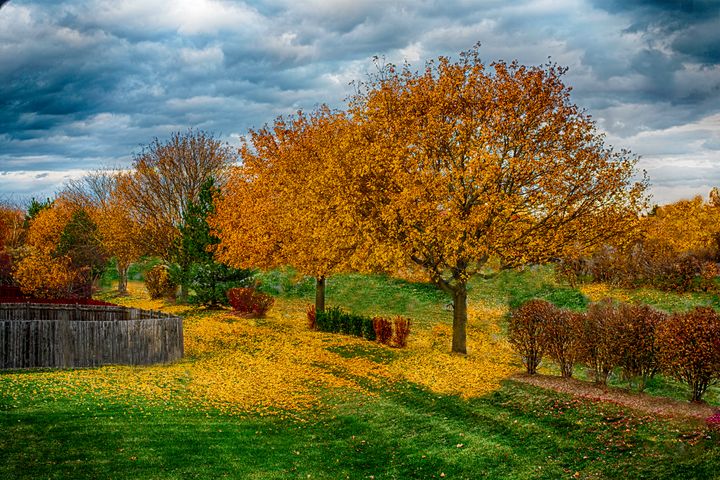 Autumn 2020 Oswego Il - Sunset Awe - Photography, Landscapes & Nature ...