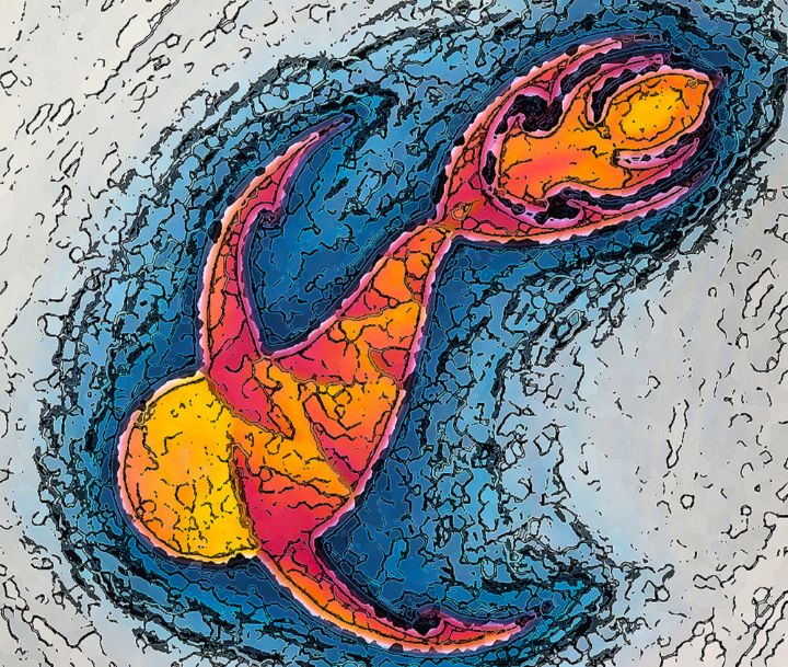 Fire Fish - Redeeming Reflections - Digital Art, Animals, Birds, & Fish ...