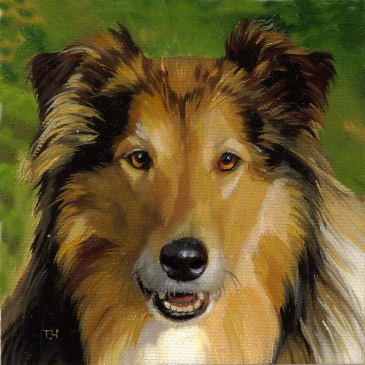 Collie - Painting by Tatjana Cechun - Paintings & Prints, Animals ...