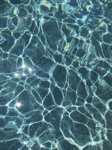 Julia Rizzo - Drawings & Illustration, Photography, Paintings & Prints