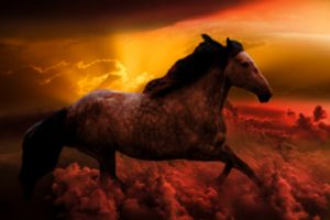 DaHuyn - Digital Art & AI, Paintings & Prints, Photography