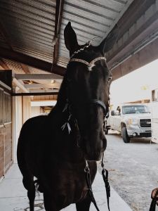 Cassidy Faith Creations - Digital Art & AI, Photography