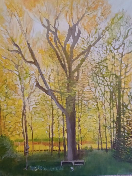 Poplar trees - Josie Moore - Paintings & Prints, Flowers, Plants, & Trees, Trees & Shrubs ...