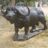 African Curio - Sculptures & Carvings