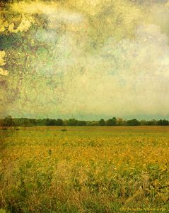 Abstract Art Environment - Photography