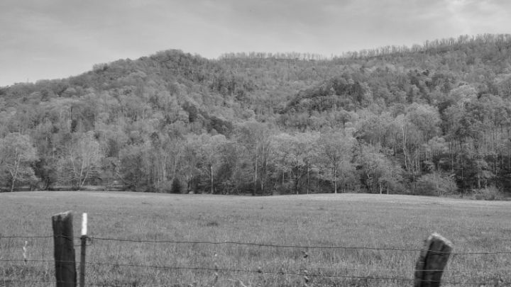 Open Pasture 1 in BW - The Colorful Cove - Photography, Landscapes ...
