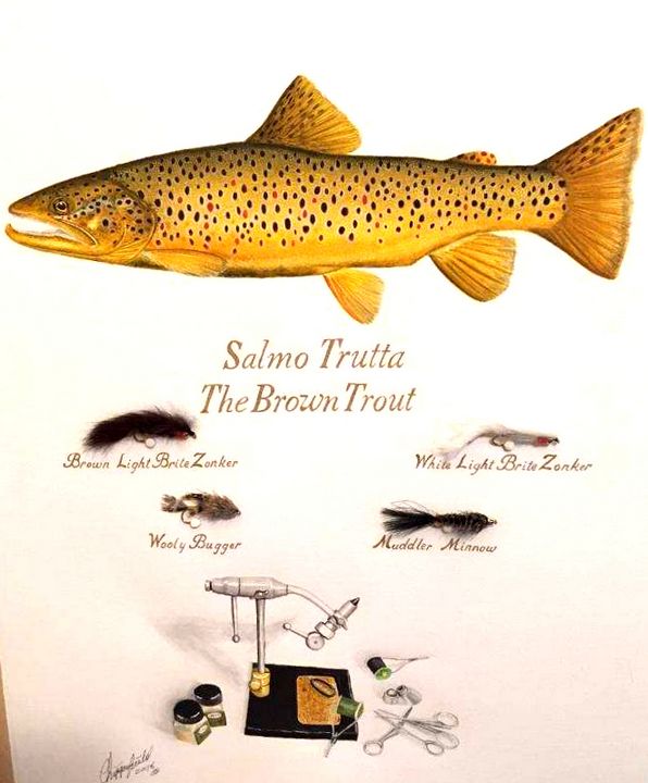 The Brown - The art of the Chip - Paintings & Prints, Animals, Birds ...