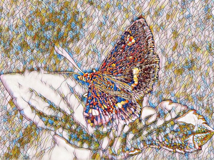 Beautiful Evolution - Ageless Artistry - Digital Art & AI, Animals ...