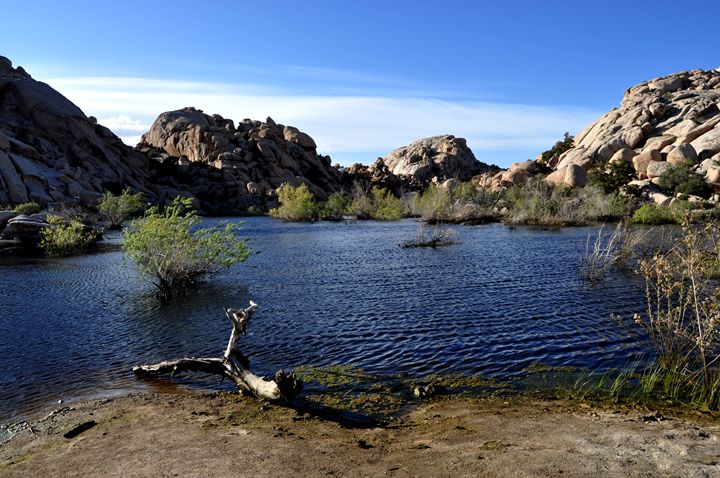 Desert Lake - Lubit Arts - Photography, Landscapes & Nature, Desert ...