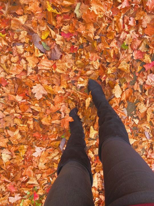 Stepping into fall - Raquel’s Art Gallery - Photography, Landscapes ...