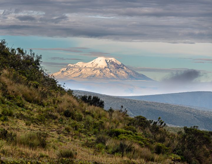 Henri Leduc - Photography