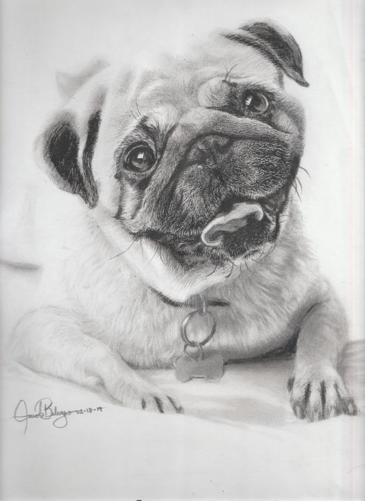 Jacob Belenzo - Drawings & Illustration