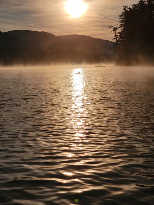 Loon on a Lake - Eric Litchfield - Photography, Landscapes & Nature ...
