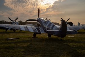 Matt Lewandowski - Photography