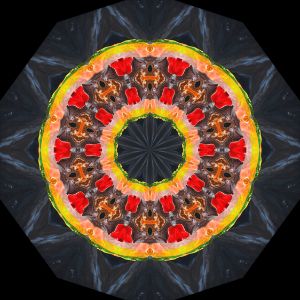 Bob Rupp - Digital Art, Photography, Drawings & Illustration