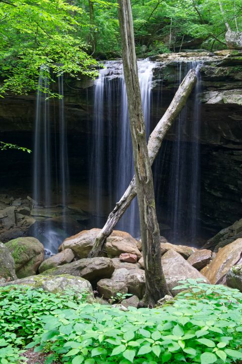 Big Laurel Falls 10 - Perkins Designs - Photography, Landscapes ...