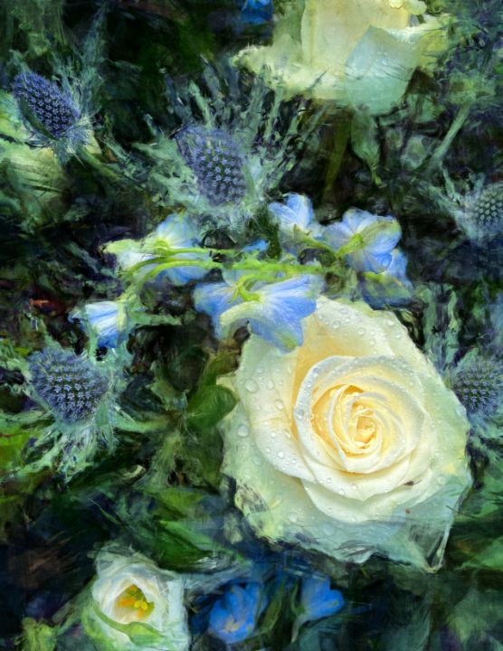 Morning Dew - Perkins Designs - Photography, Flowers, Plants, & Trees ...