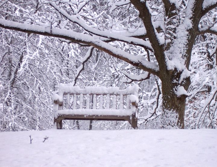 Winter Bench - Perkins Designs - Photography, Landscapes & Nature ...