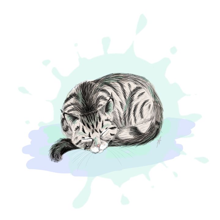 Sleeping Cat with splash background - MidwestMustangz - Digital Art ...