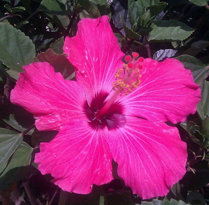 KP Art - Paintings & Prints, Photography