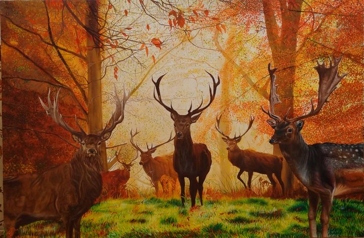 Deer Fall - MNS - Paintings & Prints, Animals, Birds, & Fish, Deer - ArtPal