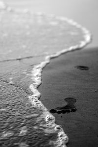 Hasibul Alam Turan, Visual artist - Photography