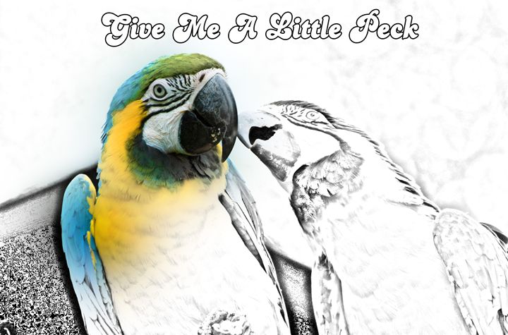 Give me a little Peck - Animal Art - Digital Art & AI, Animals, Birds ...