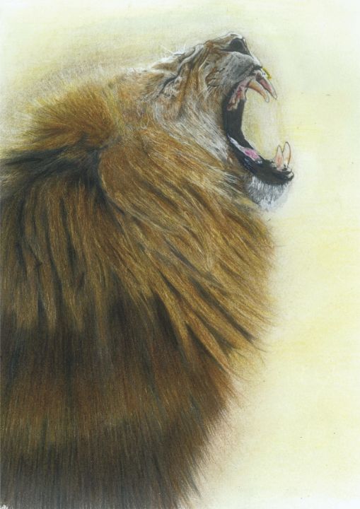 A Lion - Annisa's Studio - Drawings & Illustration, Animals, Birds ...