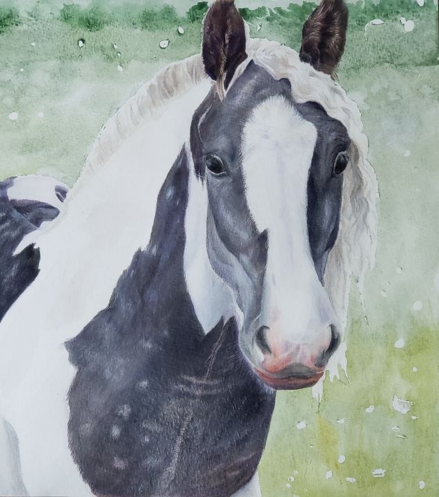 Catherine Clemons Gallery - Paintings & Prints