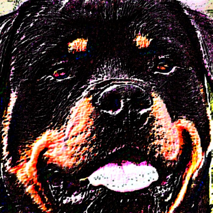 Sibi - Sol artworks - Digital Art & AI, Animals, Birds, & Fish, Dogs ...
