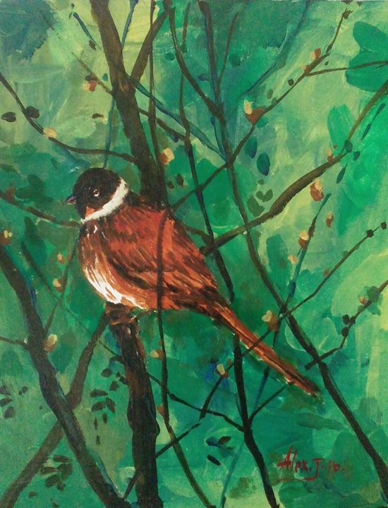 Alex John - Paintings & Prints