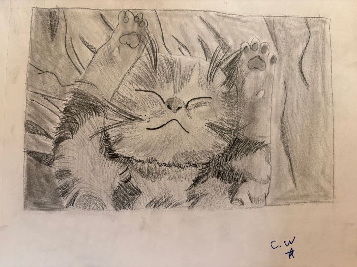 Cute Kitty Cat - C.W. Star Creations - Paintings & Prints, Animals ...