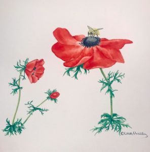 Lisa Holley - Paintings & Prints